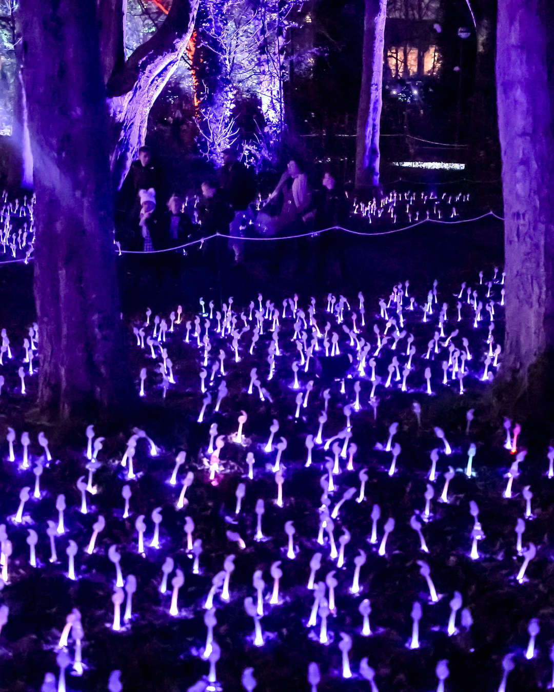 Home - Northern Lights Leeds
