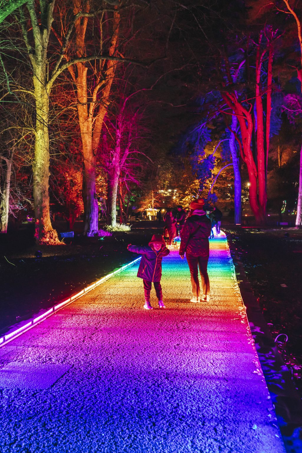 Contact Us - Northern Lights Leeds